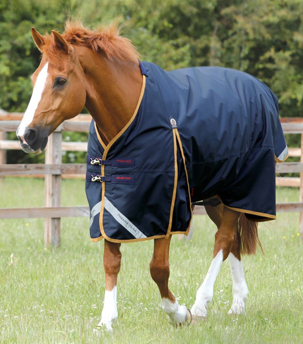 Buster 50g Original Turnout Rug - Hertfordshire Tak Shak