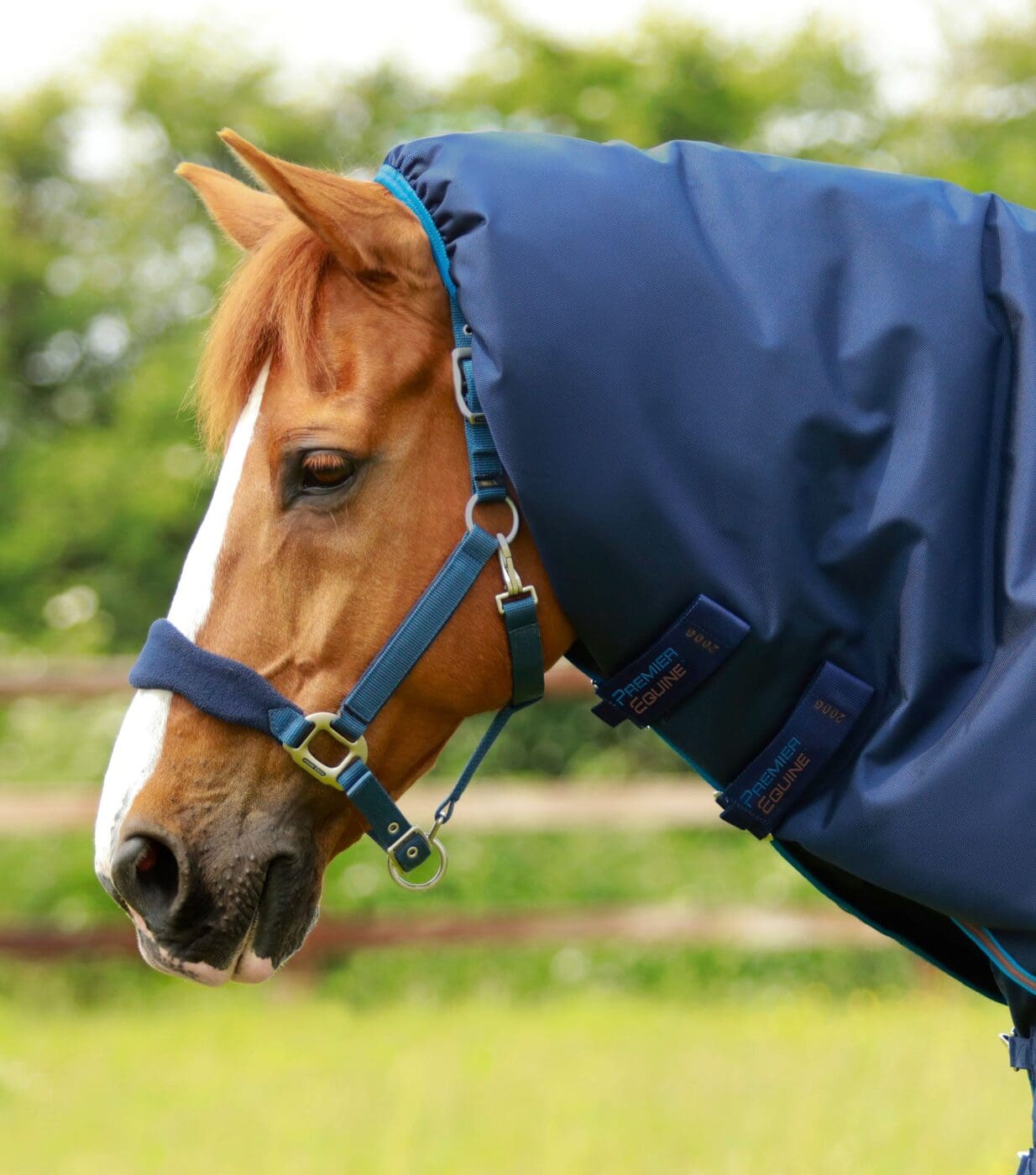 Titan 200g Turnout Rug with Snug-Fit Neck Cover - Hertfordshire Tak Shak