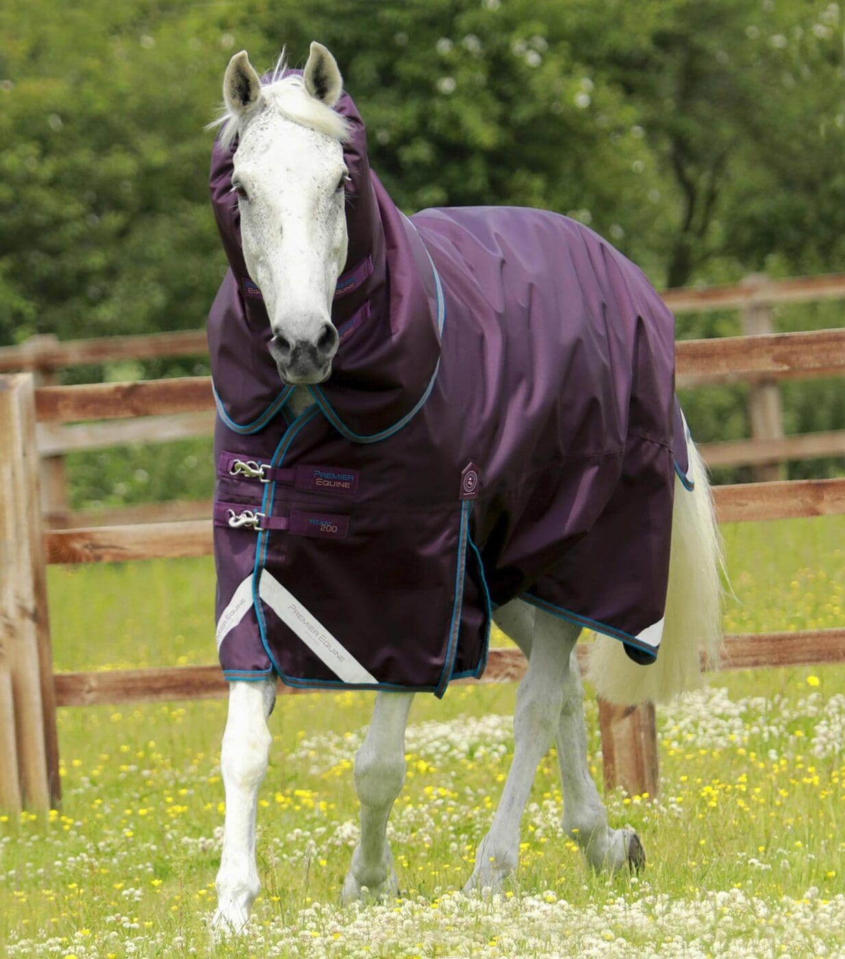 Titan 200g Turnout Rug with Snug-Fit Neck Cover - Hertfordshire Tak Shak